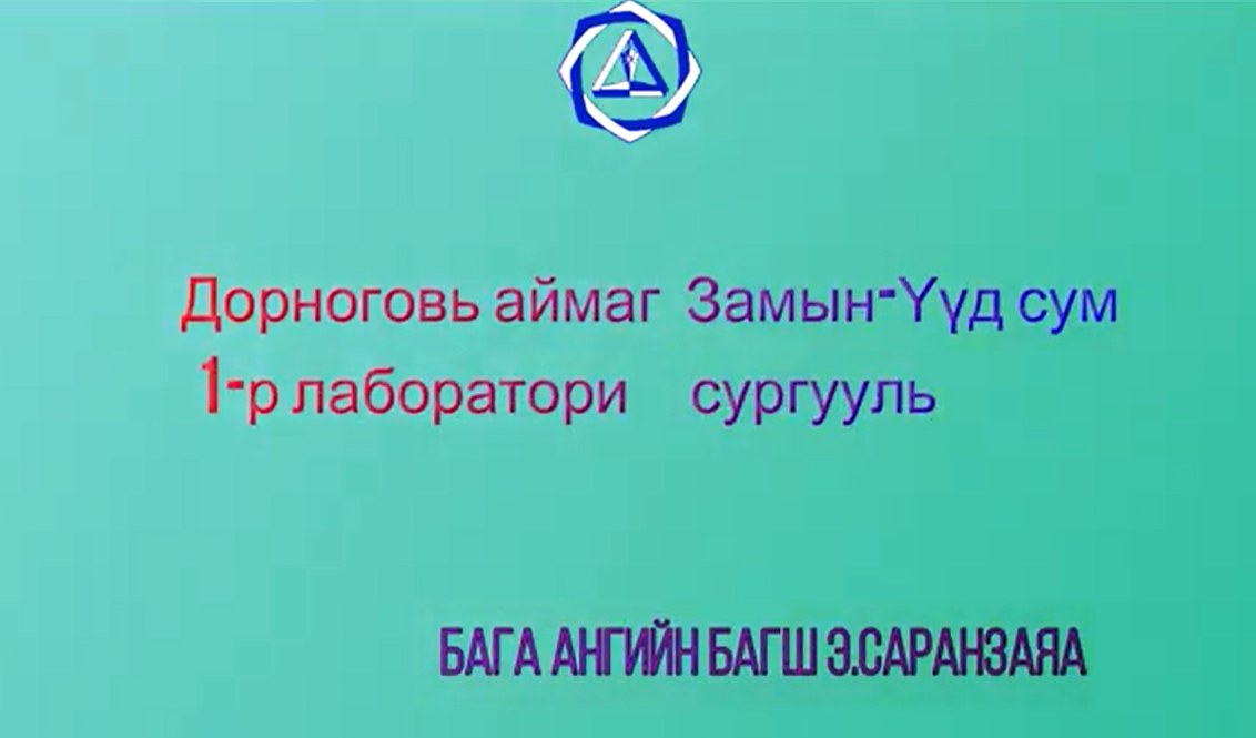 Замын Үүд 1 р сургуулийн бага ангийн багш Э Сарназаяа багш арга